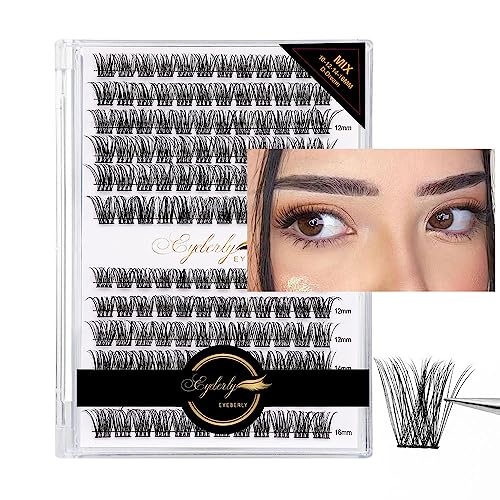 Lash Clusters 144pcs D Curl Individual Lashes DIY Eyelash Extensions, Eyeberly LASH 10/12/14/16mm Mix Length Cluster Lashes Natural Look Lash Extensions DIY Wispy Lashes at Home(Dream)