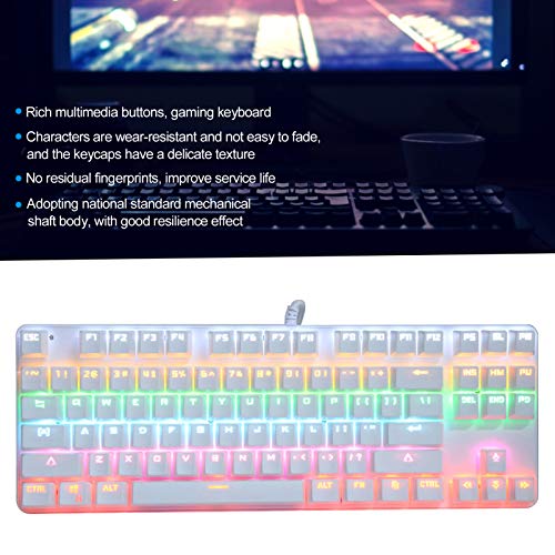Zyyini Bindpo USB Gaming Keyboard, 87-Keys Wired Gaming Mechanical Keyboard with Color Backlit, Retro Keyboard for Desktop Laptop, Plug and Play, Blue Switch (White)