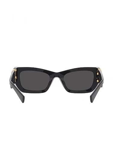 Lerterl Retro Vintage Cat Eye Sunglasses for Women and Men Rectangular Fashion Sunglasses UV Protection Glasse