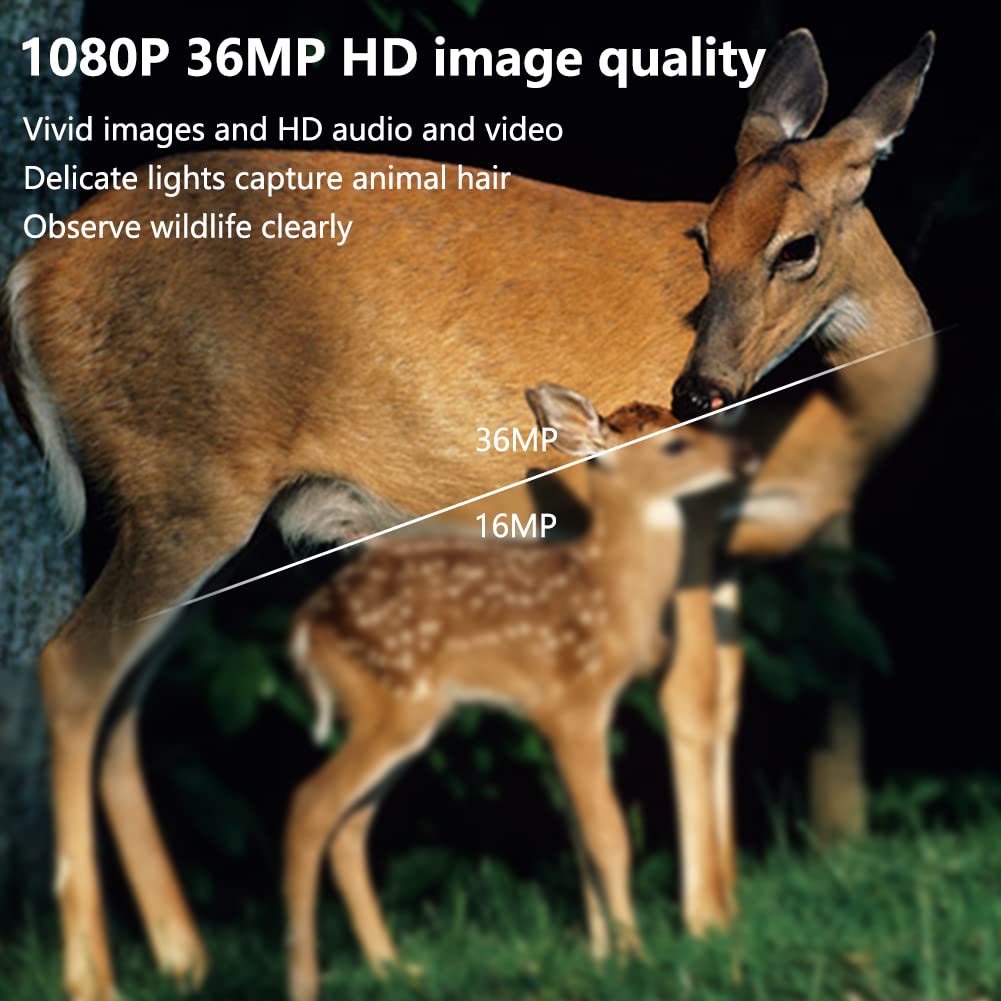 Trail Camera,2 pack 36MP 1080P Mini Trail Camera,Hunting Camera with 120°Wide-Angle 0.2s Trigger Speed,No Glow Night Vision Motion Activated IP67 Waterproof with 32GB Card for Wildlife Scouting