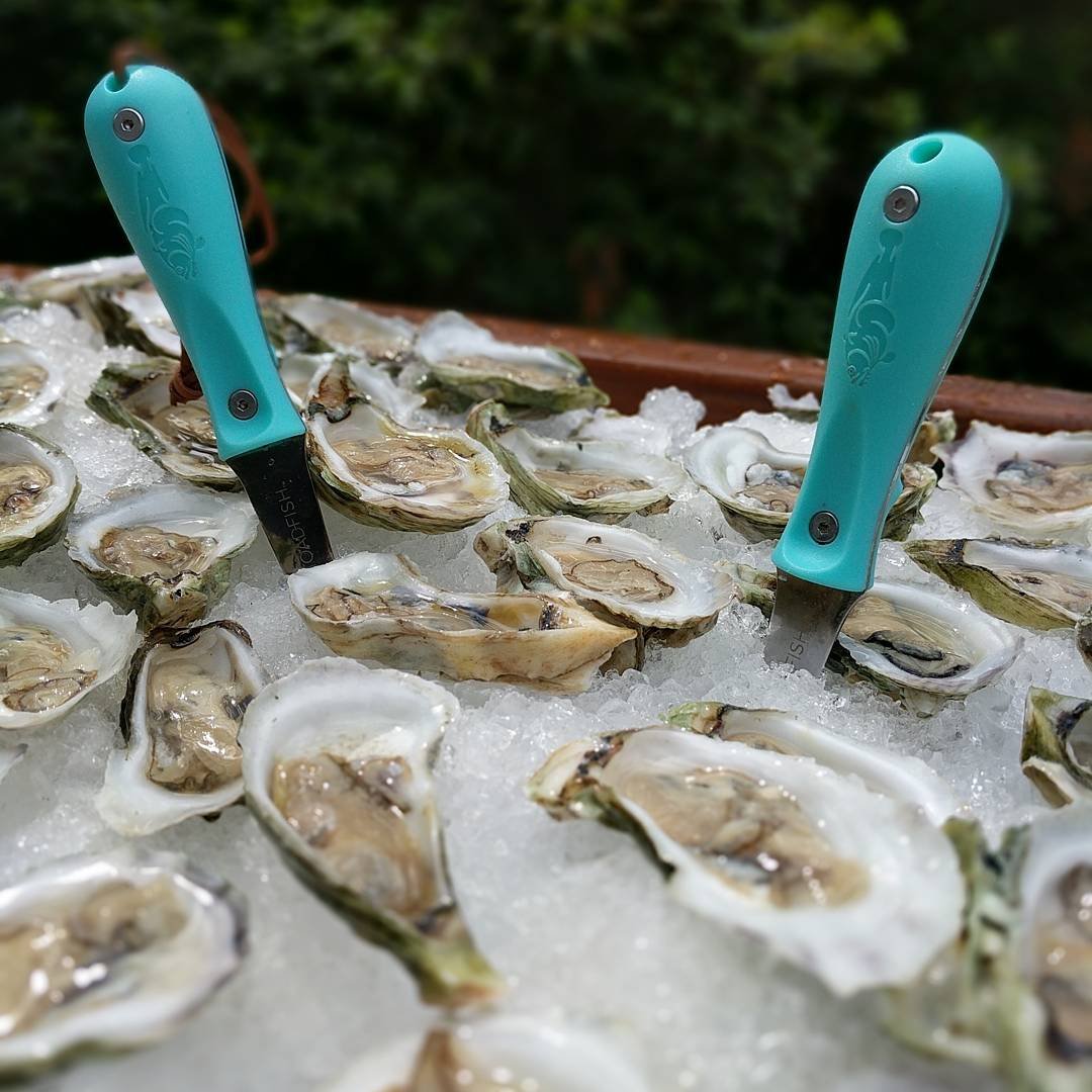 Toadfish Oyster Shucking Knife, Oyster Opener Tool, PUT 'EM BACK Oyster Knife by Toadfish