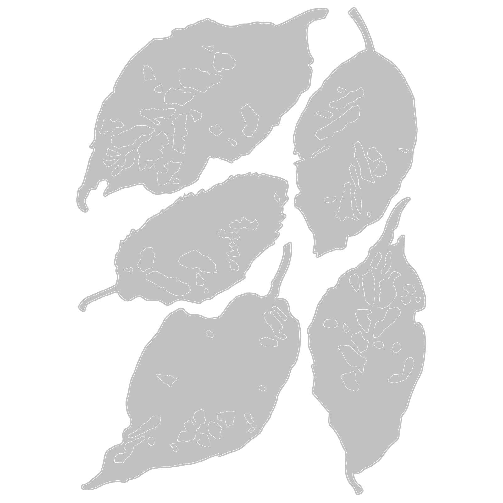 Sizzix Thinlits Die Set 5PK Leaf Fragments by Tim Holtz, 665559