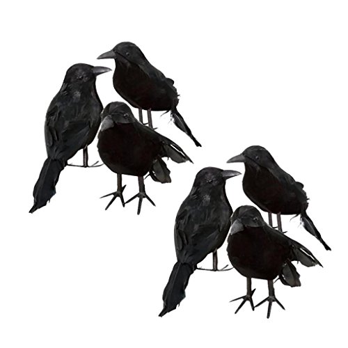 ZODIFEVI 6 Pack Realistic Crows, Real Touch Black Feathered Crows, Halloween Decorations,Artificial Handmade Feathered Raven, Halloween Party Decor Prop Outdoors and Indoors Decoration