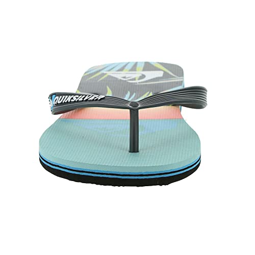 Quiksilver Men's Molokai Panel 3 Point Sandal Flip-Flop, Blue 2, 11