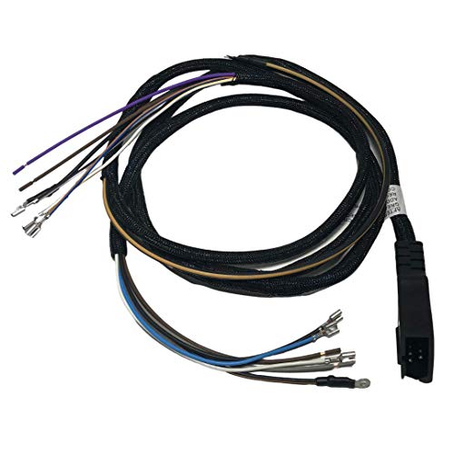 Western Fisher Snow PLOW PLOW Side Light Harness 11 PIN 26377 26347