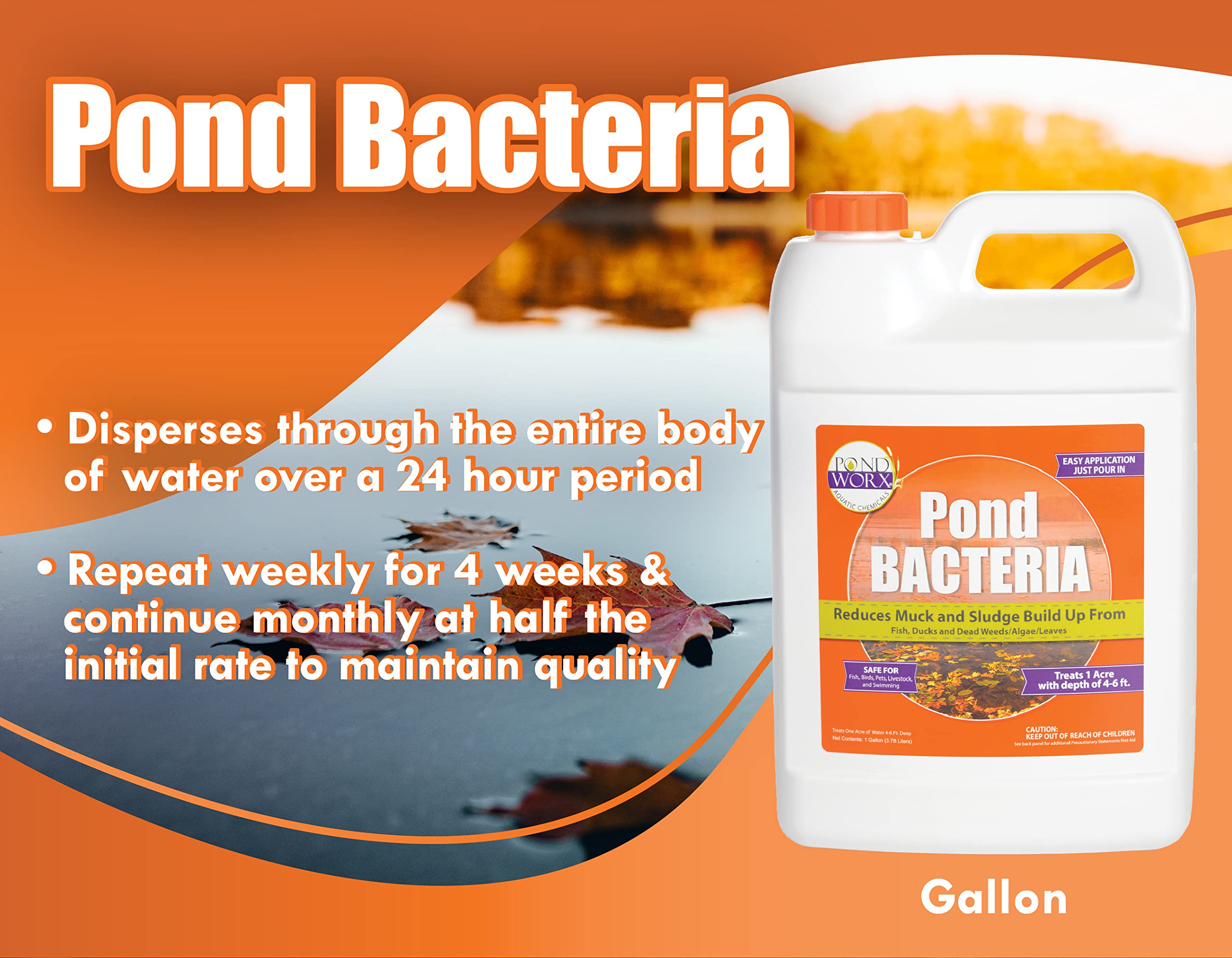 PondWorx Pond Bacteria and Water Clear- Formulated for Large Ponds, Water Features and Safe for Koi, Improves Water Quality- Gallon