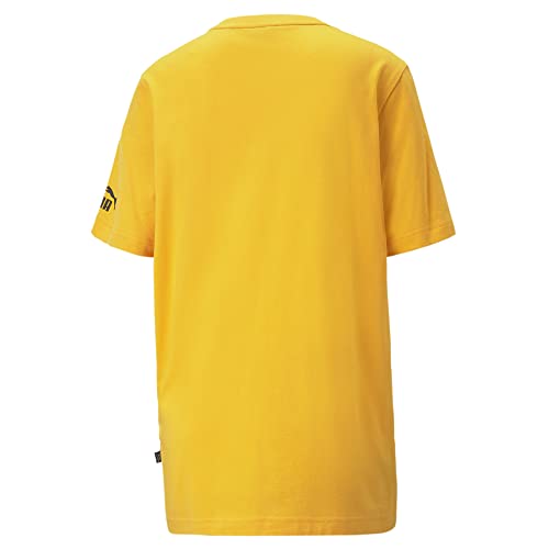Puma Men's Graphic Tee Shirt, Apricot, XX-Large