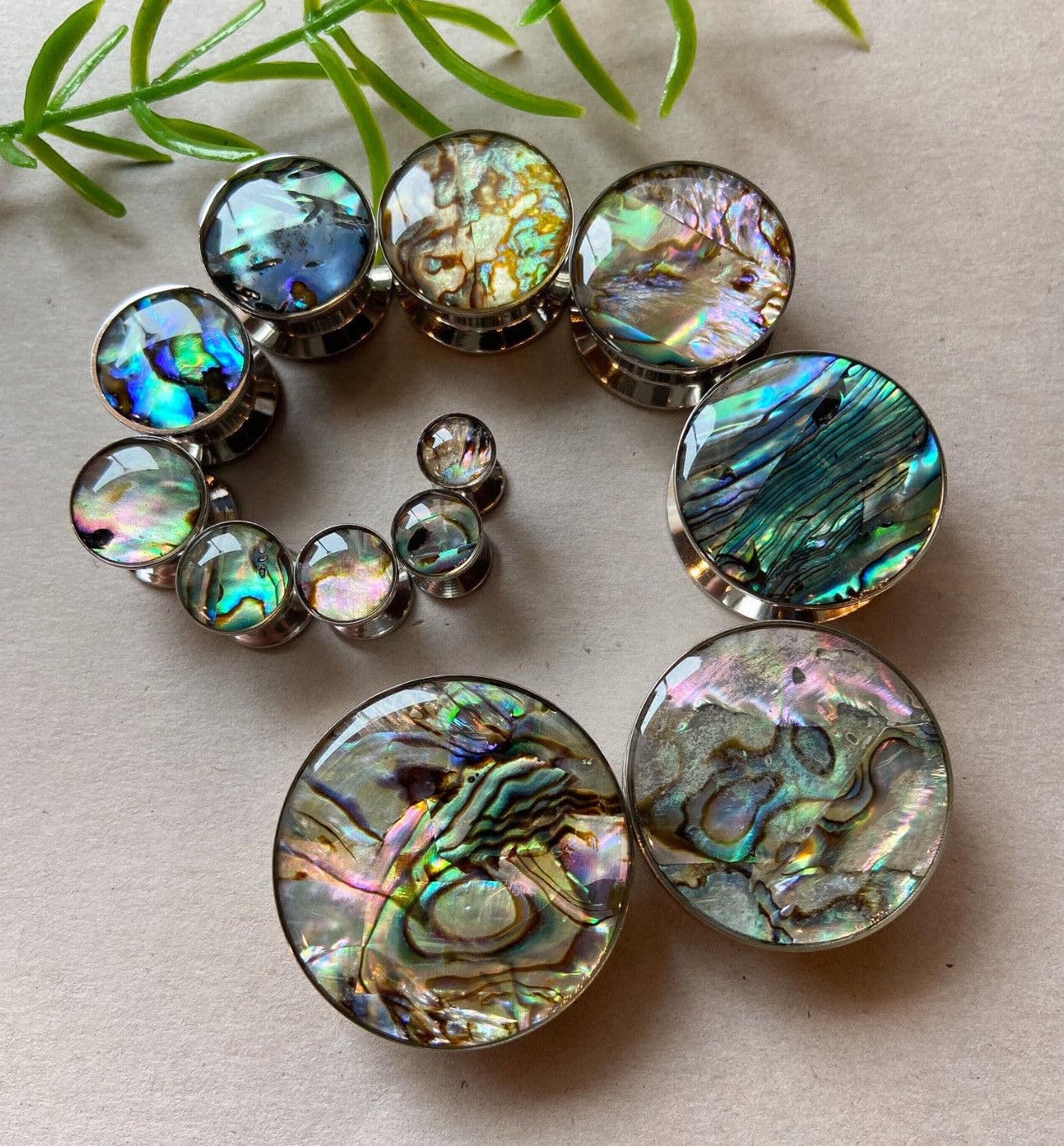 Lobal Domination PAIR Abalone Inlay Steel Screw Fit Plugs Tunnels Earlets Gauges Pierced Body Jewelry (6g (4mm))
