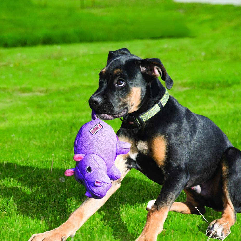 KONG Phatz Hippo Dog Toy, Small