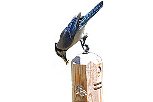 Wildlife Sciences Suet Plugs Variety 16 Pack, 4 Wrapped 4 Packs 12 Ounces Each