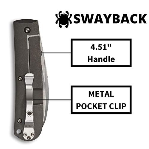 Spyderco SwayBack Premium Knife with 3.53" CTS XHP Stainless Steel with Durable Titanium Handle - PlainEdge - C249TIP
