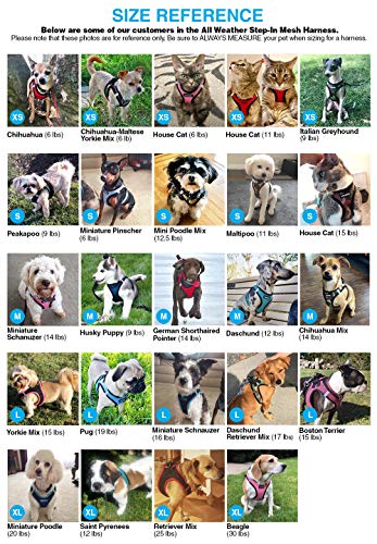 Voyager Step-in Air Dog Harness - All Weather Mesh Step in Vest Harness for Small and Medium Dogs by Best Pet Supplies - Harness (Black), Medium