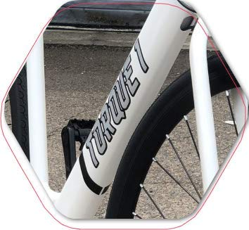 Ride Scoozy Torque 1 E-Bike, Single Speed Electric Bicycle, Li-Ion Battery, Disc Brakes (54CM, White)