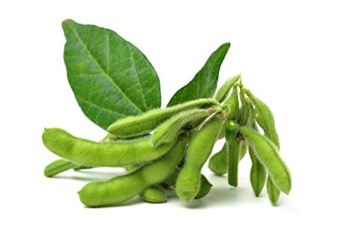 Soybeans Seeds for Planting, 25+ Heirloom Seeds Per Packet, (Isla's Garden Seeds), Non GMO Seeds, Botanical Name: Glycine max, Great Home Garden Gift