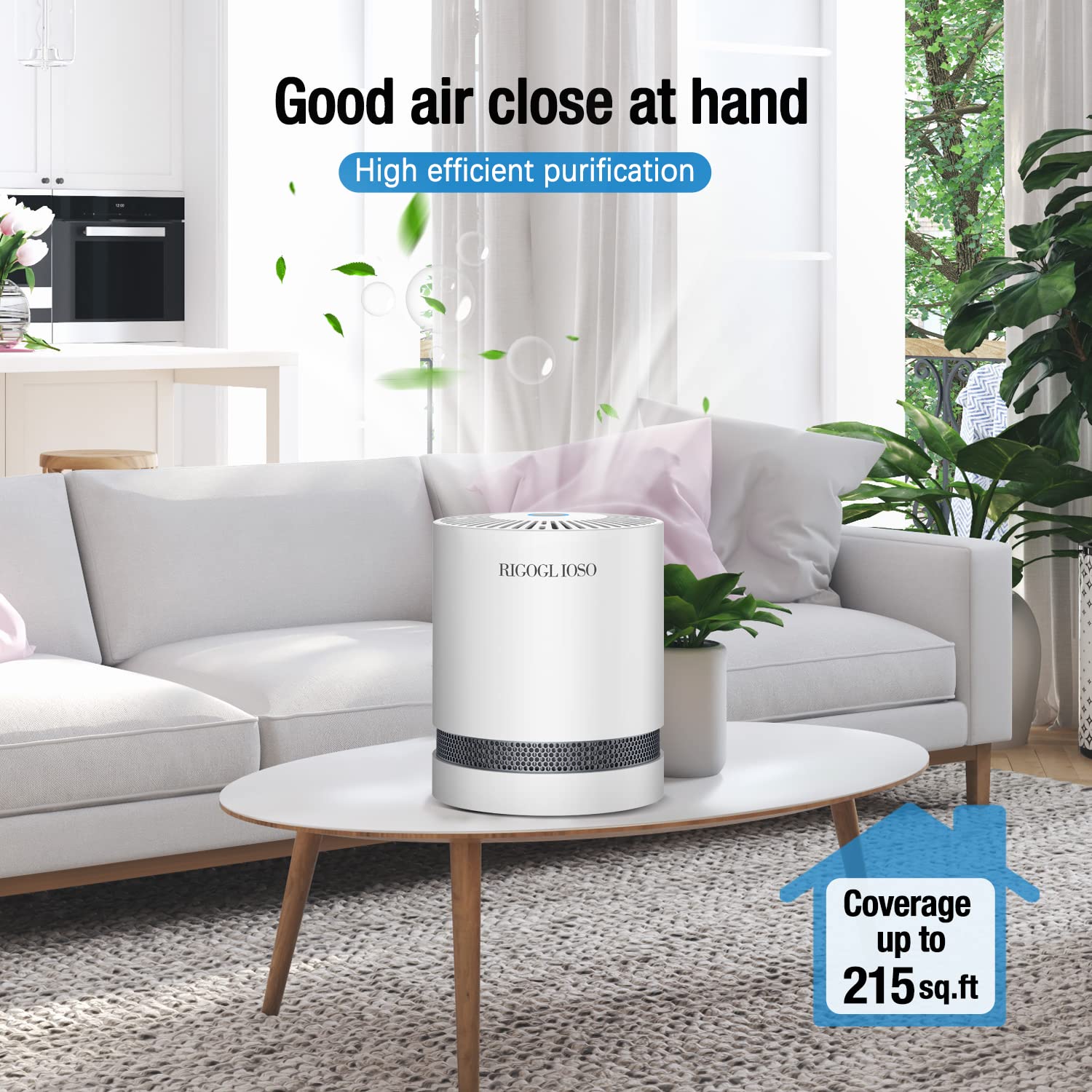 RIGOGLIOSO Air Purifier for Home with True HEPA Filters,Low Noise Portable Air Purifiers with Night Light,Desktop USB Air Cleaner