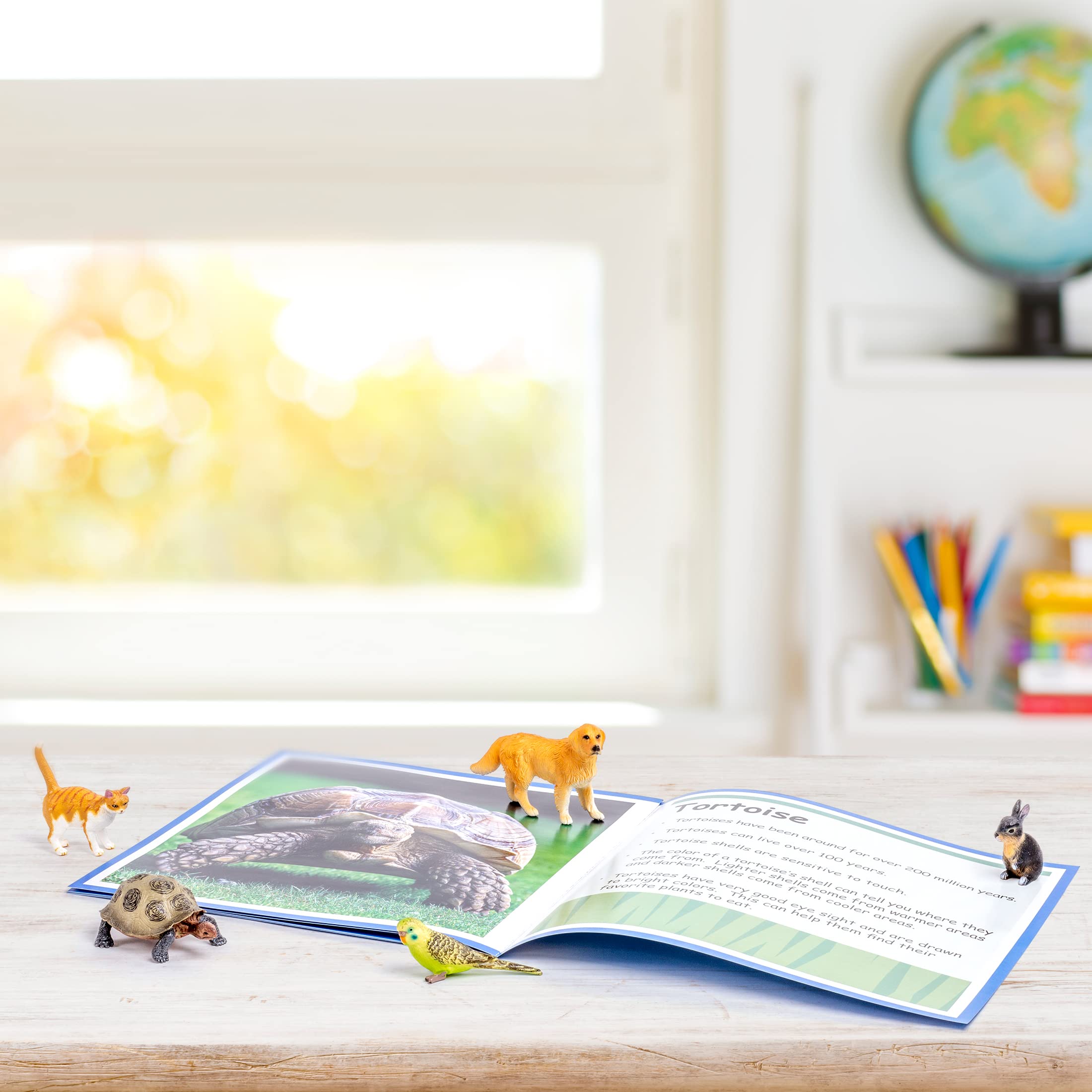 Stages Play Builder: Pets Plastic Animal Figures/Pet Animal Figurines Toys and Fun Facts Book from The Makers of Language Builder, Multi
