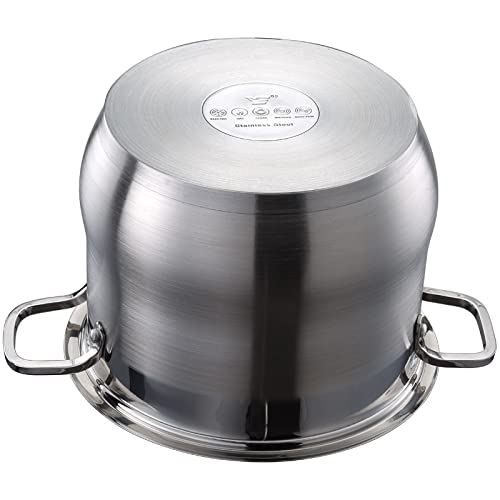 Stainless Steel Stockpot 9.1Qt Mirror Polished Soup Pot with Glass Lid,Pasta Pot with Interior Measurement Markings,Cooking Pots Compatible with All Heat Sources,Easy Clean & Dishwasher Safe