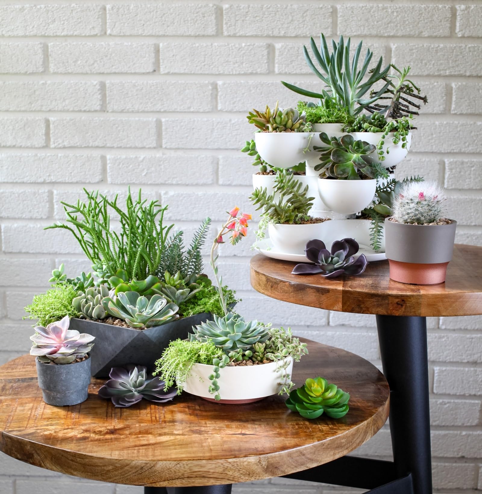 The HC Companies 6 Inch Round Capri Succulent Pot - Decorative Indoor Plastic Planter with Drainage, Vanilla Bisque
