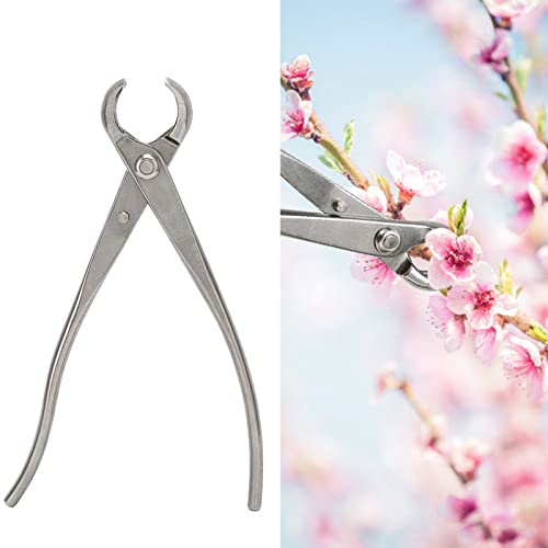 Tgoon Bonsai Cutter, 210mm Ergonomic Handle Branch Clipper Bonsai Styling Tool Professional High Strength for Bonsai Modeling for Branch Removal