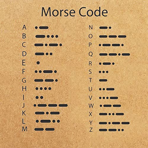 TESTRYE Morse Code Bracelets for Men Women,Morse Code Bracelets with Adjustable String,Inspirational Gifts Bracelets for Men Friends Women (best biches)