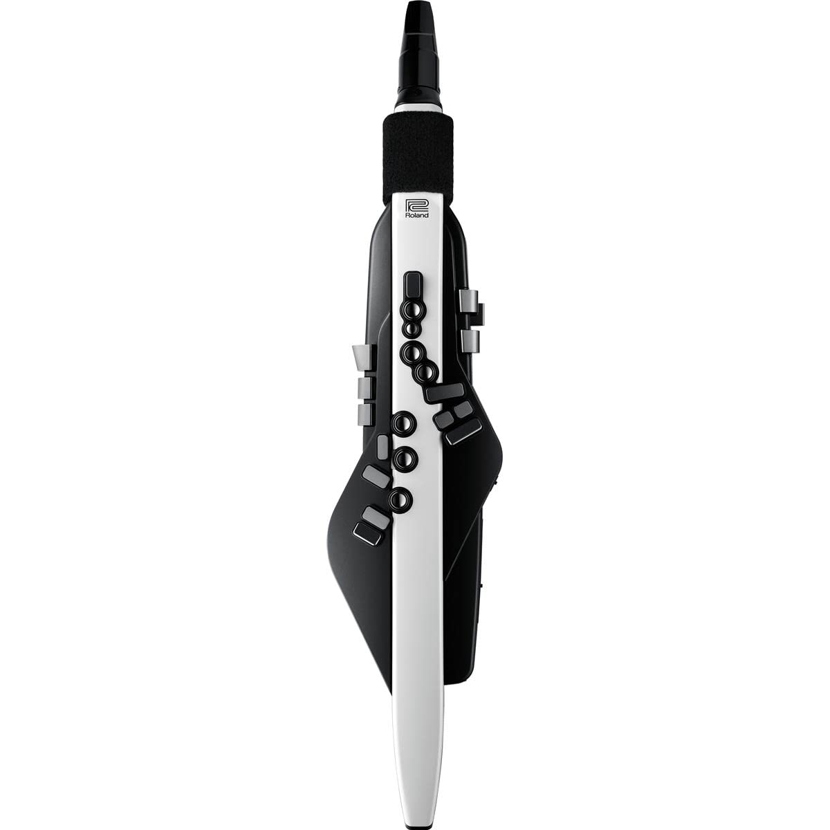 Roland Digital Wind Instrument, Matte Black and White (AE-20)