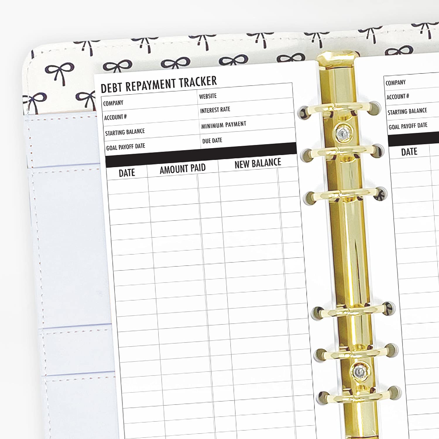 Personal Debt Repayment Planner Insert Refill, 3.74 x 6.73 inches, Pre-Punched for 6-Rings to Fit Filofax, LV MM, Kikki K and Other Binders, 30 Sheets Per Pack