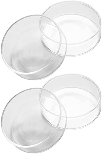 Perfect candy bowls: bread dish, clear condiments, kitchen with cake mix, foam plate for storage, crystal trays, round snack glass, burnt, display stand