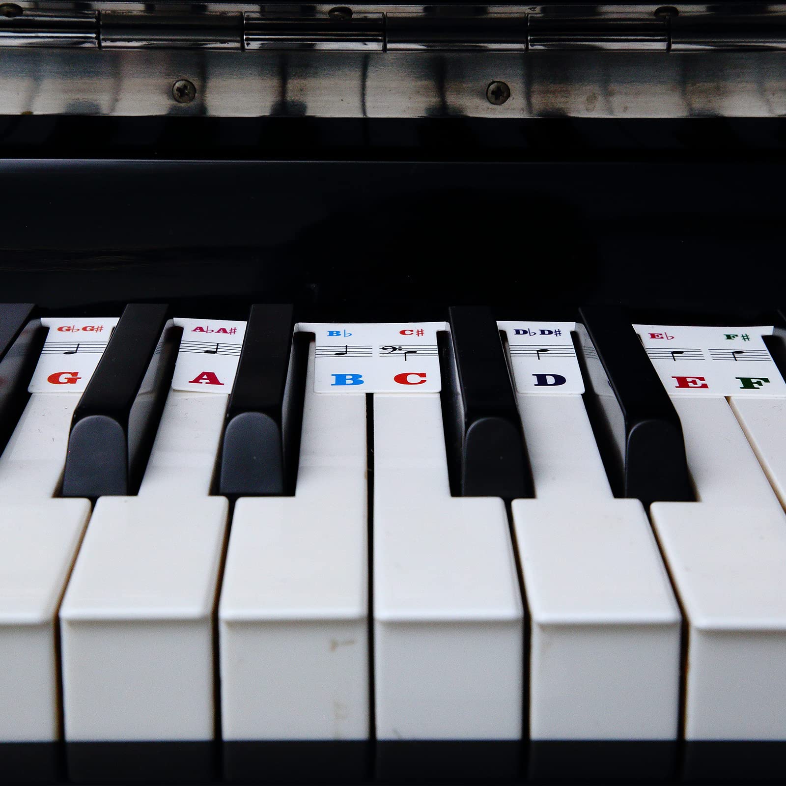 Piano Key Stickers for Beginners Kids 61/88 Full-Size Keys Piano Keyboard Rake Notes Marker Overlay with Case (61 keys)