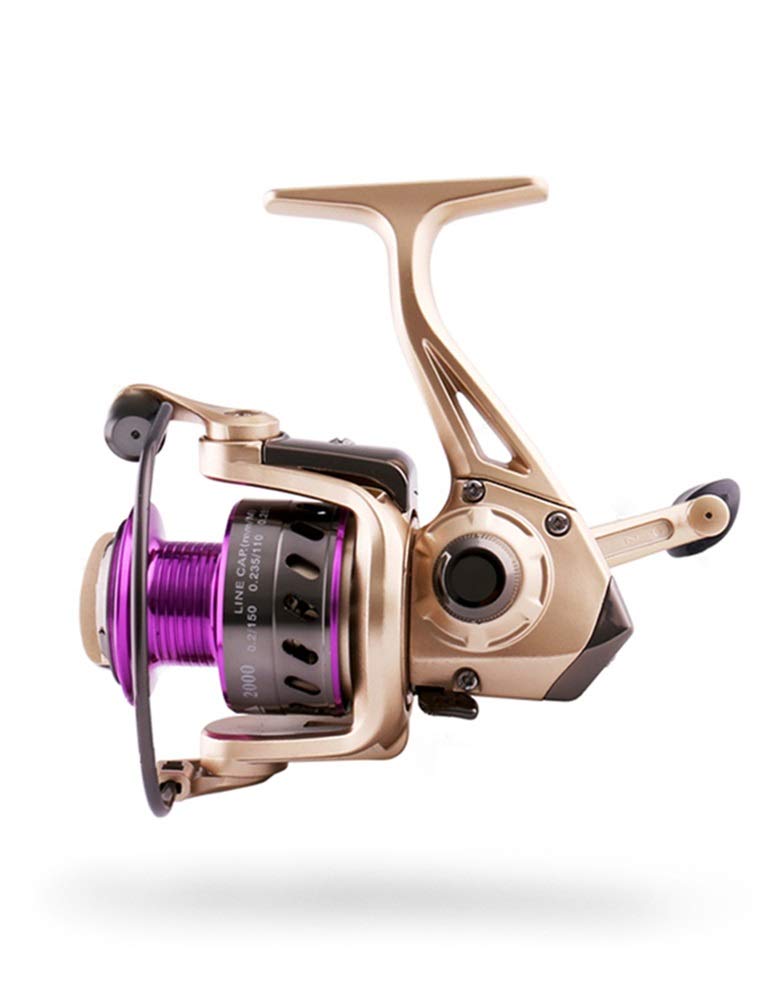 LLJPYX7L Spinning Fishing Reel for Salt Water and Fresh Water, Rocker Left/Right Hand Interchangeable, 6 Super Smooth Stainless Steel Bearings (Size : 5000)