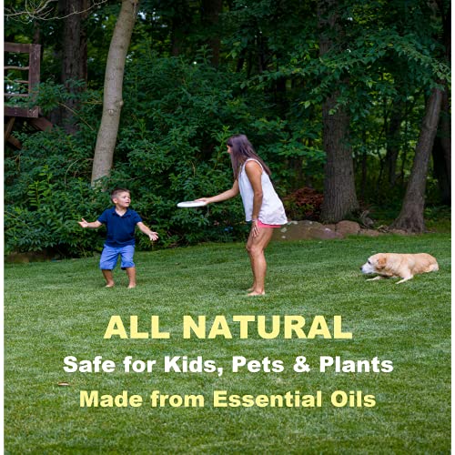 Tick & Mosquito Outdoor Plant Based Insect Control. Natural Spray Kills & Repels Harmful Bugs. Safe Insecticide Treatment for Kids, Pets, Plants β Applies Easy β Eco Innovations, EcoGuard Plus, 16 oz