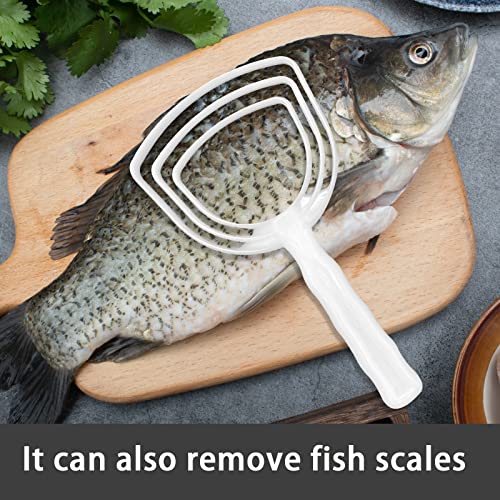Wreero Bone Dust Scraper Meat Scraper Bone Dust Bone Scraper Professional Bone Dust Scraper Meat Scraper (2 Pieces) Square