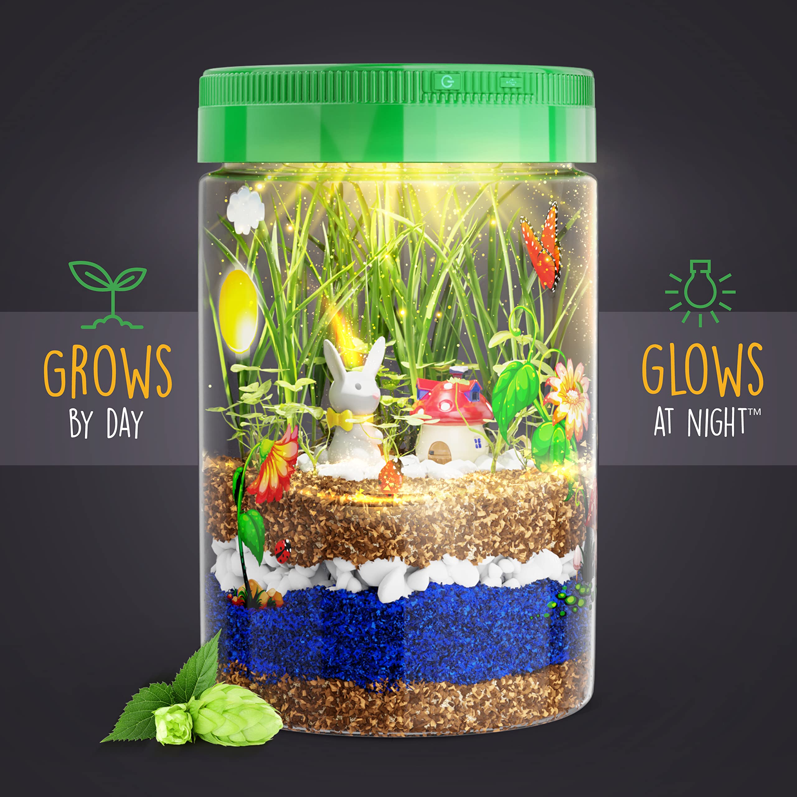 Light-Up Terrarium Kit for Kids (Old Version)