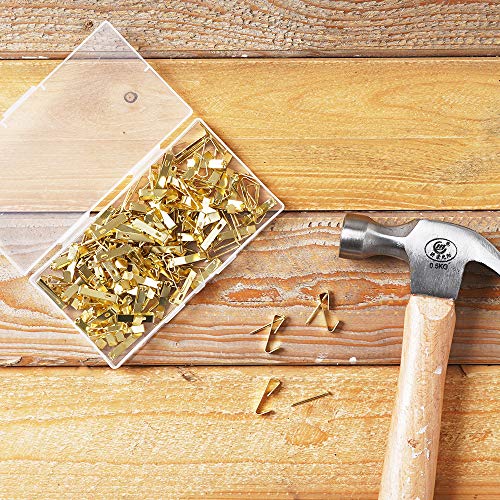 LOCONHA 100 Pack - 30lbs - Picture Hangers Picture Hanging Nails Picture Hooks with Nails