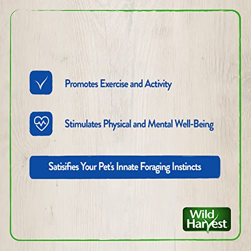 Wild Harvest® Foraging Instincts Roll n’ Play Interactive Treat, 3 Count, for Pet Mice, Rats, Hamsters and Gerbils
