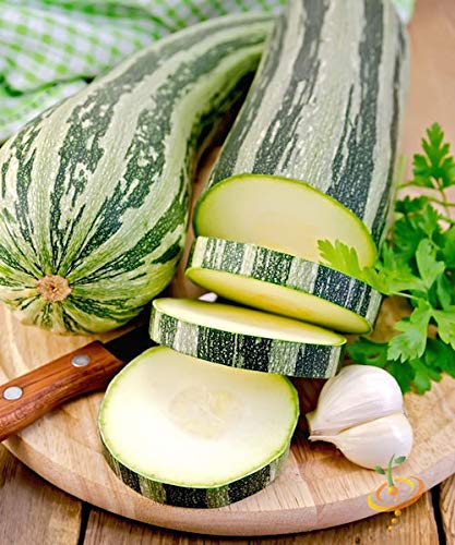 This is a Mix!!! 50+ Zucchini and Squash Mix Seeds 12 Varieties Non-GMO Delicious Grown in USA. Rare Super Profilic