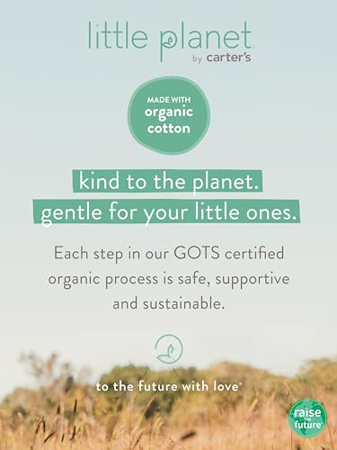 little planet by carter's unisex-baby Quilted Double Knit Hooded Jumpsuit made with Organic Cotton, Slate Solid, NB