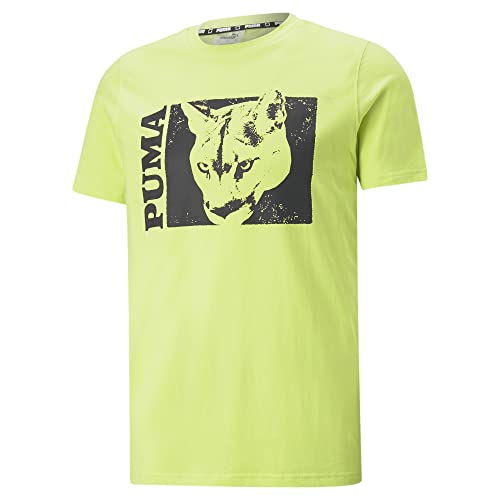 PUMA Men's Graphic Tee 2, Light Lime, Medium