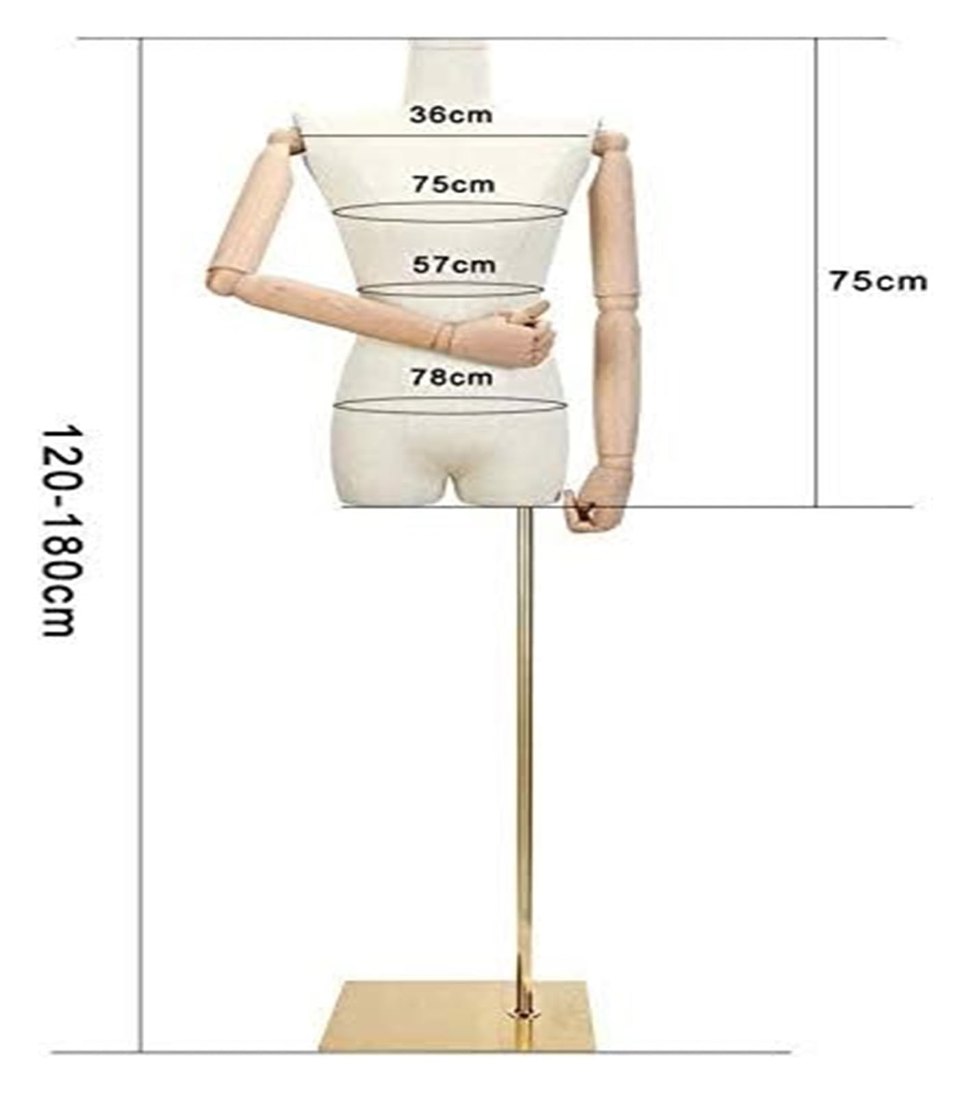 Mannequin Tailors Dummy Torso Dress Form Torso Adjustable Female Tailors Dummy Dressmakers Dummies Display Bust Detachable for Clothing Jewelry Display Stand