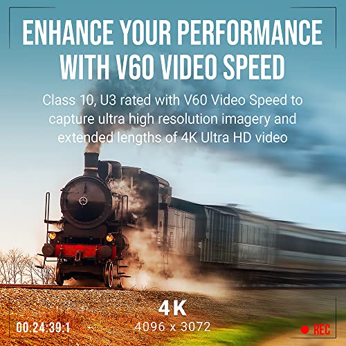 PNY 256GB EliteX-PRO60 UHS-II SDXC Memory Card - R280MB/s W180MB/s, U3, V60, 4K UHD, Full HD, UHS-II for Professional Photographers & Content Creators, DSLR Mirrorless Cameras, Advanced Video Cameras