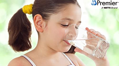 Watts Premier OFPRFC OneFlow Plus Whole House Water Filter System & Water Softener, Carbon Block Water Filter Replacement, 1 Pack