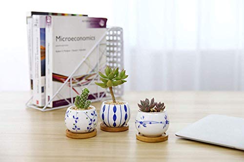 T4U 2.5 Inch Ceramic Succulent Planter Pot with Bamboo Saucer Set of 3, Cactus Plant Pot Flower Pot Container Planter Gift for Home Office Indoor Decoration Blue and White Pots