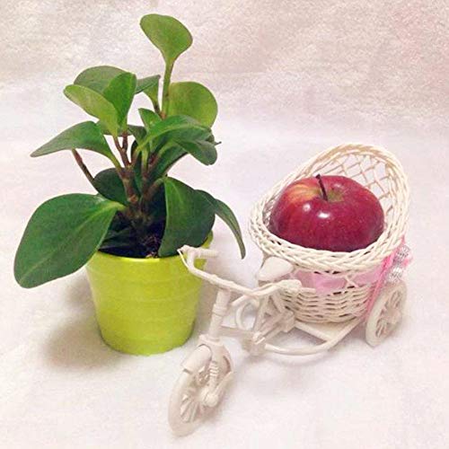 Luwsldirr Rattan Flower Basket Vase Tricycle Bicycle Model Home Garden Wedding Party Decor
