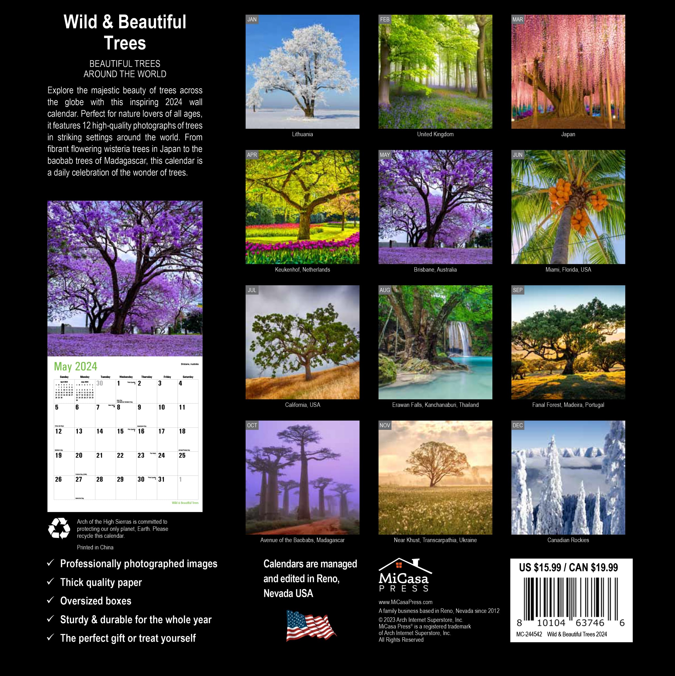 MICASA Wild & Beautiful Trees Hangable Monthly 2024 Wall Calendar | 12" x 24" Open | Thick & Sturdy Paper | Giftable | Scenic Nature Pathways | Beautiful Trees around the World