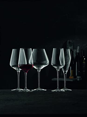 Nachtmann ViNOVA Red Wine Balloon Glass, Set of 4 -