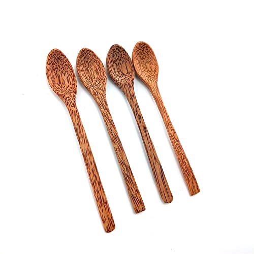 MABSSI Wooden Cutlery Natural Wooden Coconut Spoon, Coconut Shell Bowl Spoon Set