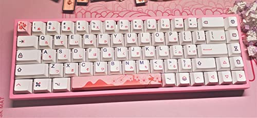 XLJ Gaming Keyboard, MageGee MK-Box LED Backlit Compact 68 Keys Mini Wired Office Keyboard with Blue Switch for Windows Laptop PC Mac - Blue/White