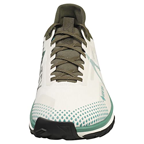 Nike React Pegasus Trail 4 GTX Running Trainers FB2193 Sneakers Shoes (UK 10 US 11 EU 45, Light Bone bicoastal 001)