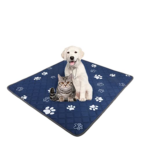 Washable Pee Pads for Dogs, Whelping Pads Washable and Waterproof Reusable Large Puppy Pads Pet Training Pads, Playpen Dogs Mat 31 x 36 Inch (Pack of 2)