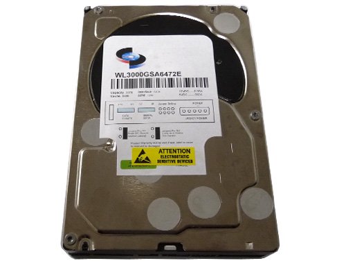 WL 3TB 7200RPM 64MB Cache SATA III 6.0Gb/s 3.5" Internal (Enterprise Grade, Heavy Duty) Hard Drive (For RAID, NAS, CCTV DVR, Desktop PC) w/1 Year Warranty