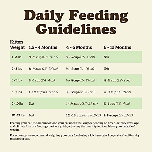 Now Fresh Dry Cat Food for Kittens, Turkey, Salmon and Duck Recipe, 3 lbs - Grain Free, Kitten Food, Made with Real Meat and Fish
